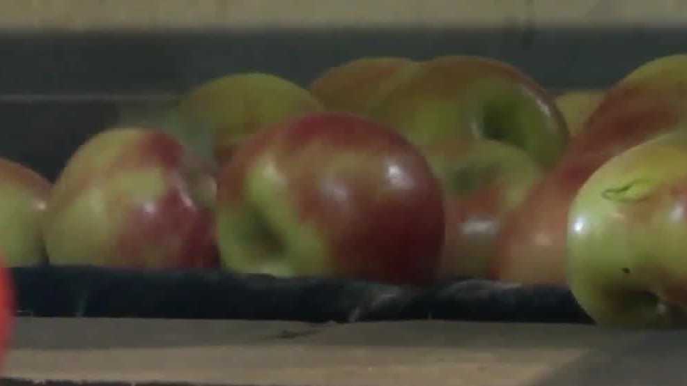 Great Outdoors: Visit Nebraska City for the Applejack Festival