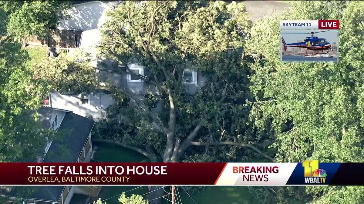 Large tree falls onto house in Overlea area