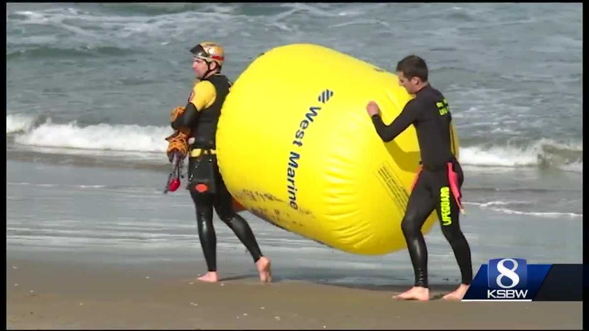 'They did a great job': candidates tryout to become California State ...