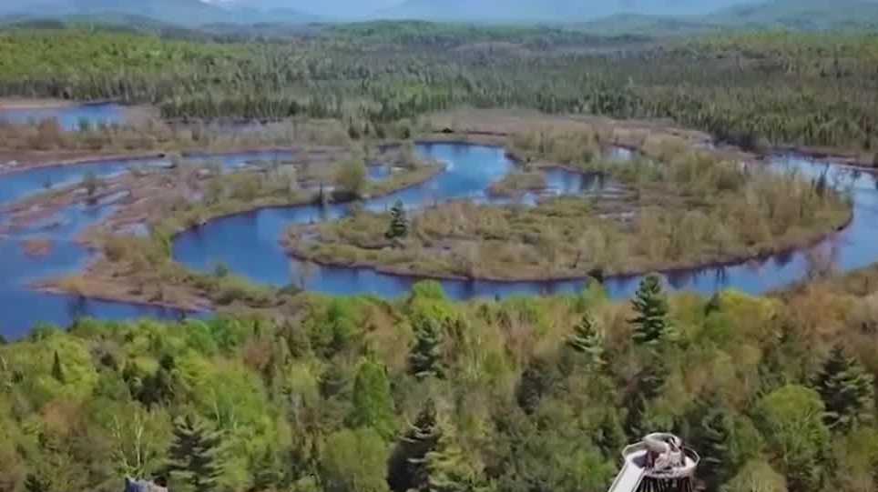 The Wild Center nominated once again for Best Science Museum