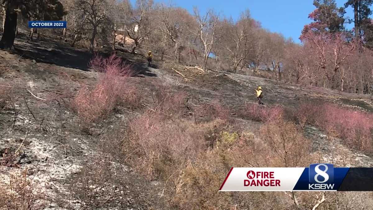 Monterey Fire Department develop Wildfire Prevention Plan