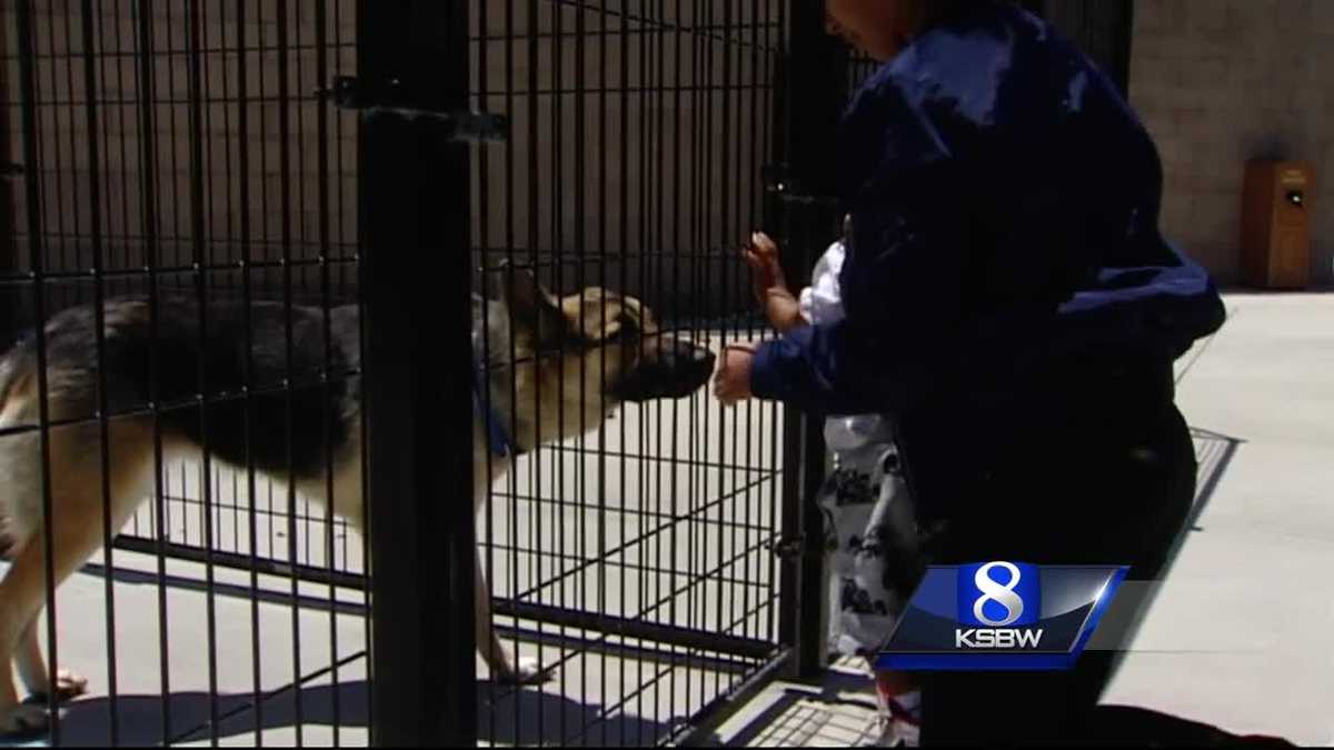 Free adoption event this weekend at SPCA for Monterey County