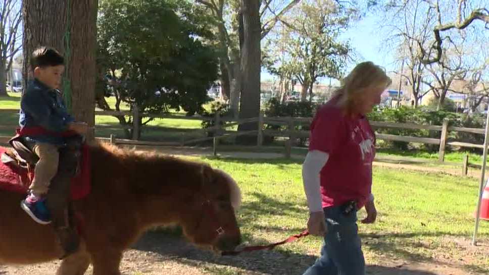 Land Park ponies and their owner to retire after 37 years