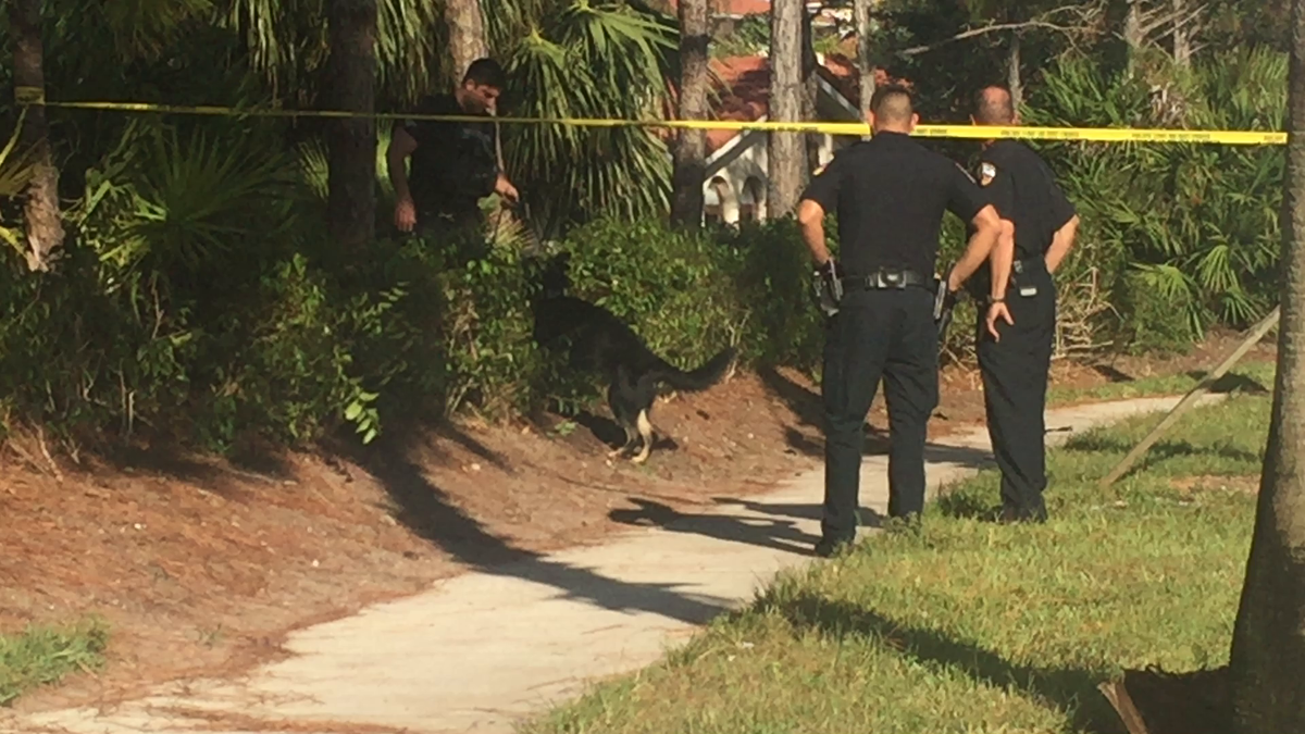 Police dogs searching crime scene near mall
