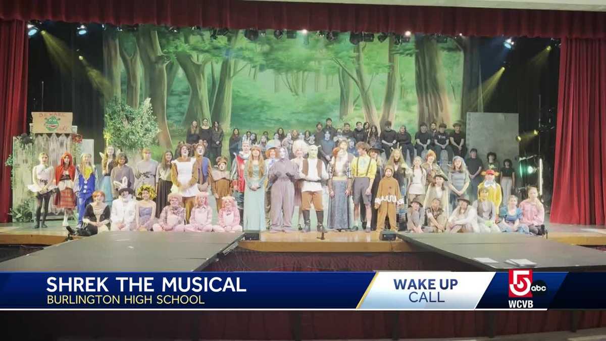 Wake up call: Shrek the Musical