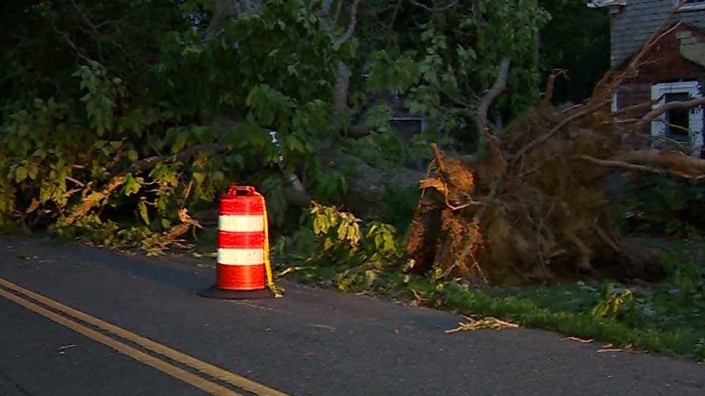 Two confirmed Cape tornadoes tear up trees, knock down power lines