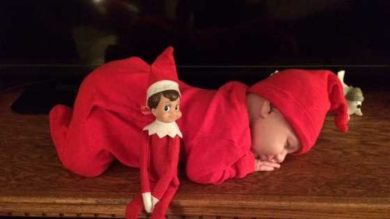 Elf on the Shelf Shenanigans