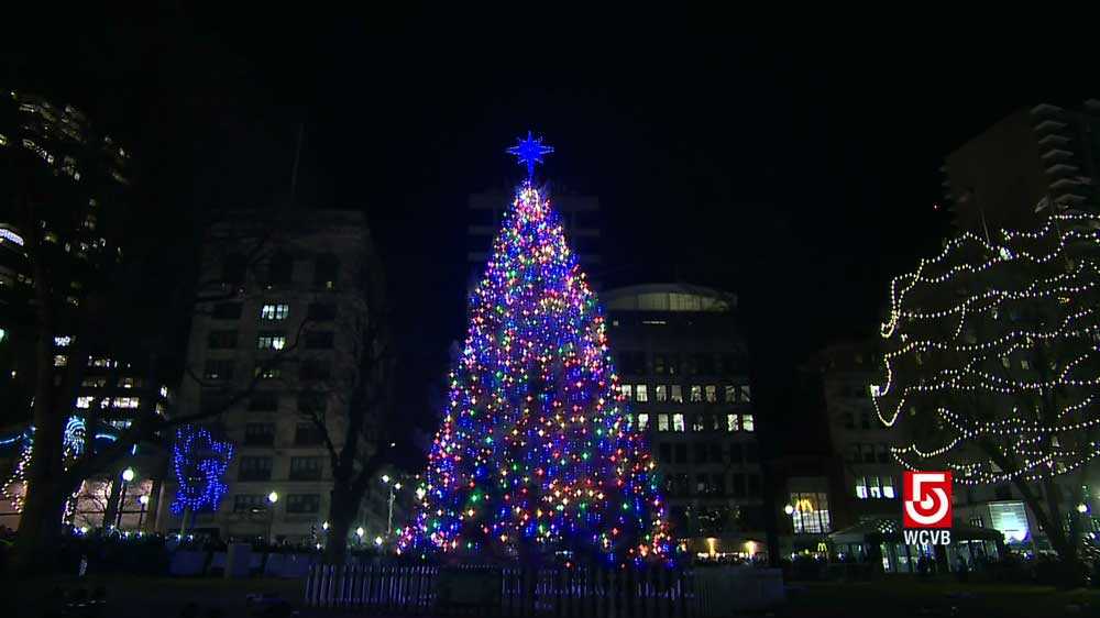 Lighting Boston's official Christmas tree
