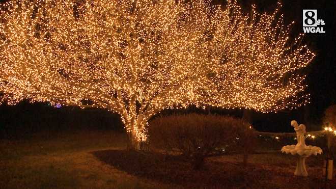 25 Nights of Lights: The Arigo family