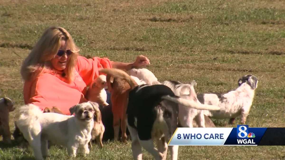 York County woman runs sanctuary for senior animals