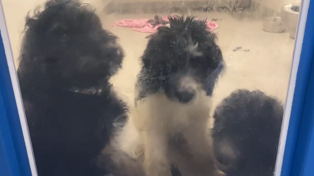 Editorial: Grateful for outpouring of love, generosity for Northern New ...