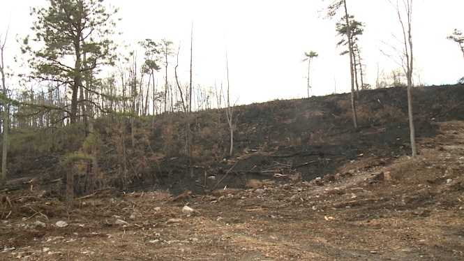Wildfires still burning in Michaux State Forest in Cumberland County