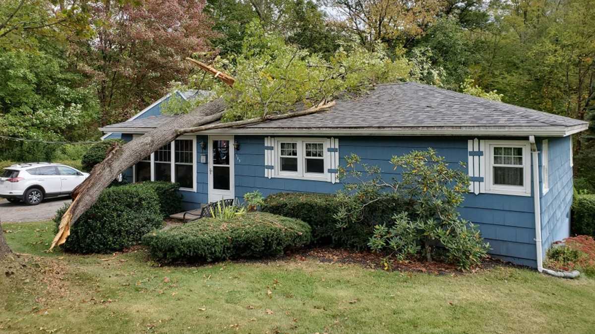 Man nearly struck by tree that crashed into his Auburn home
