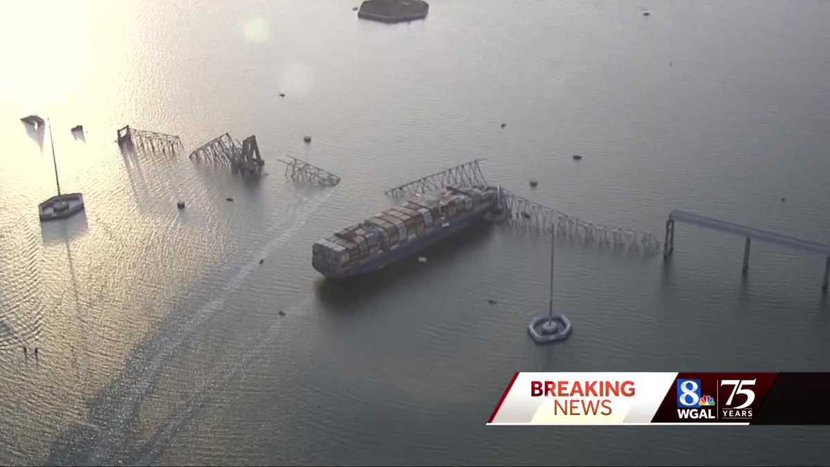 Engineering expert gives insight on Baltimore bridge collapse