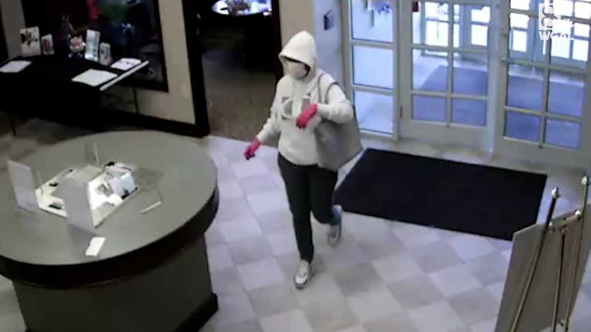 Police say woman robs bank in York County, Pa.