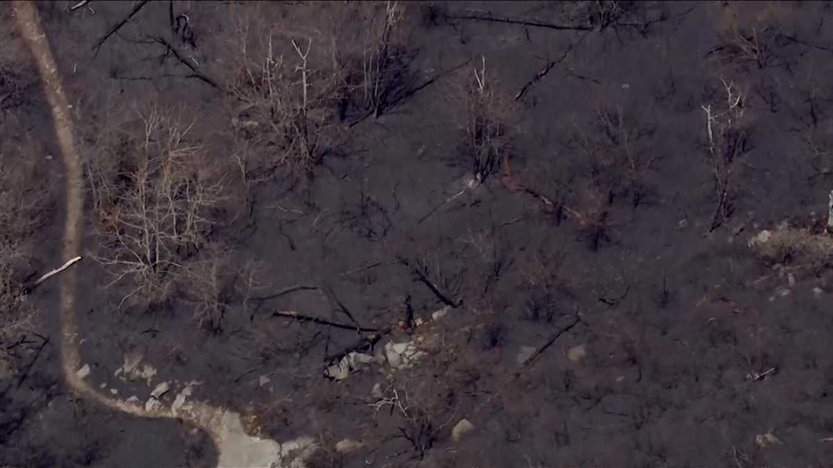 Here's what's leading to elevated brush fire risk in Mass.