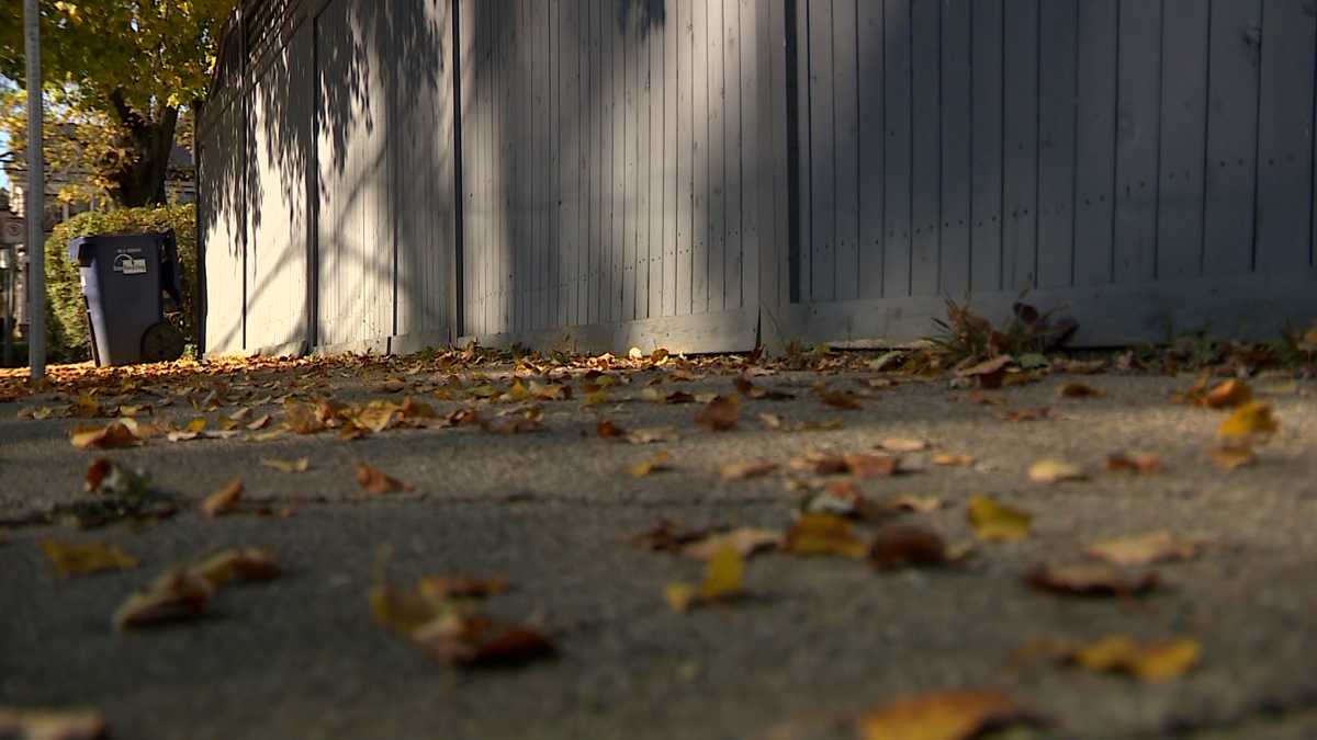 Boston man charged with attempted rape after attacking girl