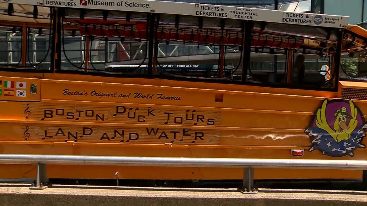 Boston sports fans excited for first championship parade in 5 years