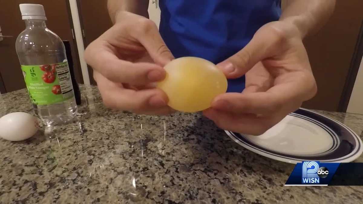Science with Swaim: Make a bouncing egg
