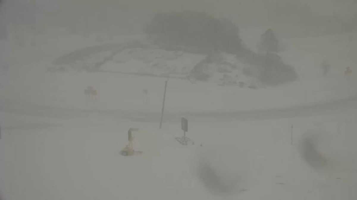 State Sen. Cyr addresses big Cape Cod power outages during nor'easter