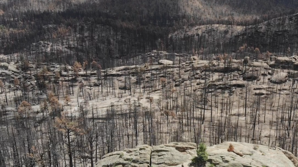 Drone video shows devastation from Ute Park Fire