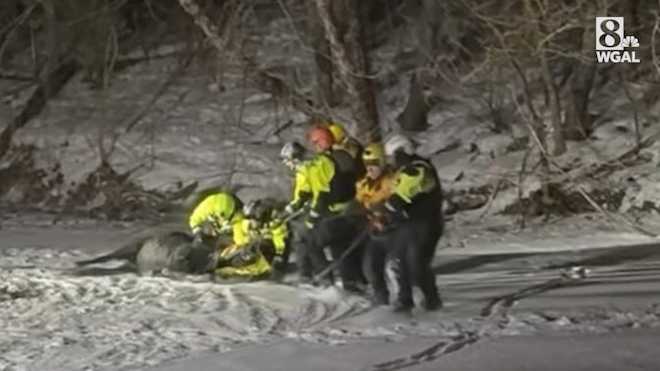 Donkey rescued from icy pond in western Pennsylvania