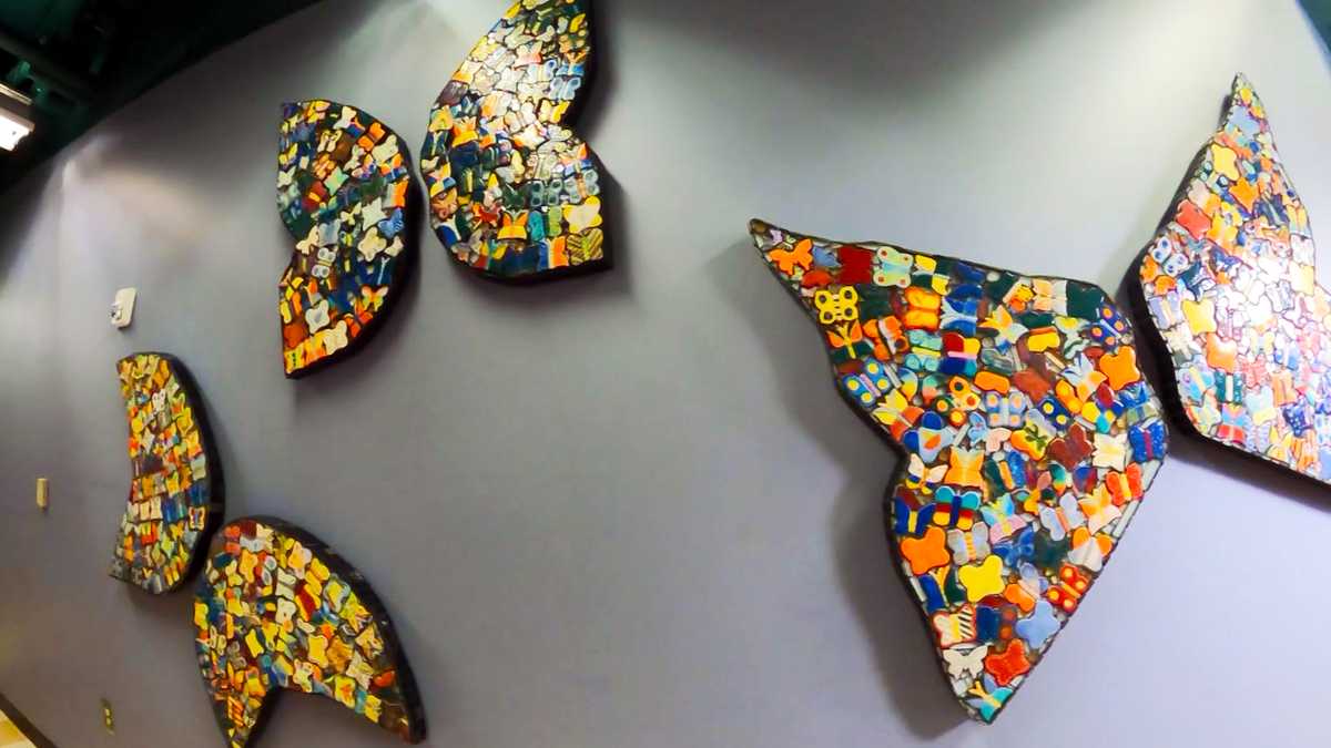 South Carolina: Butterfly Project honors children of holocaust