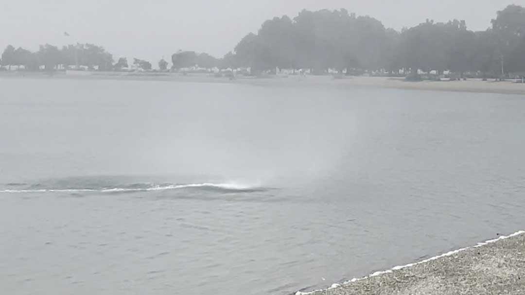 Fair-weather waterspouts spotted off Boston's Castle Island