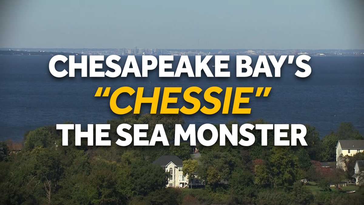 The legend of 'Chessie' is alive and well 35 years later