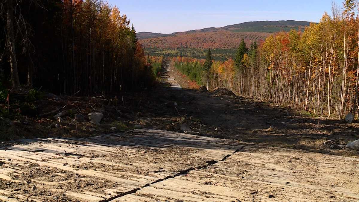 Two cases related to the CMP power corridor go before Supreme Court