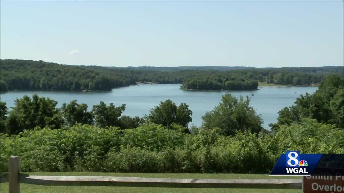 Codorus State Park monitoring fish die-off in Lake Marburg