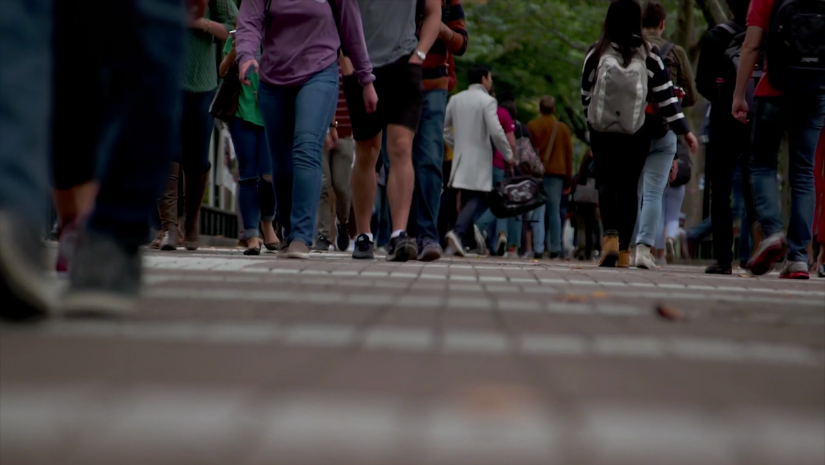 Harvard, Stanford study shows big achievement gap between low-income ...