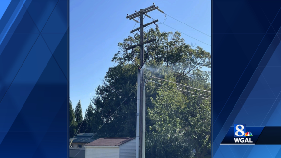 Squirrel causes power outage at school district in Adams County