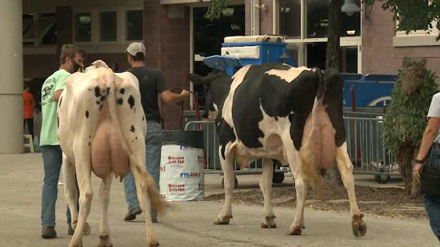 What happens to all the animal poop at the Wisconsin State Fair?