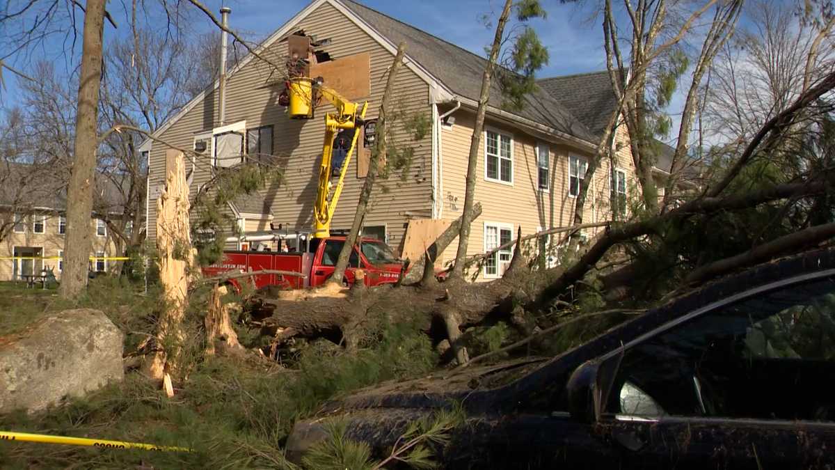 Pine tree struck by lightning causes major damage in Ashland.