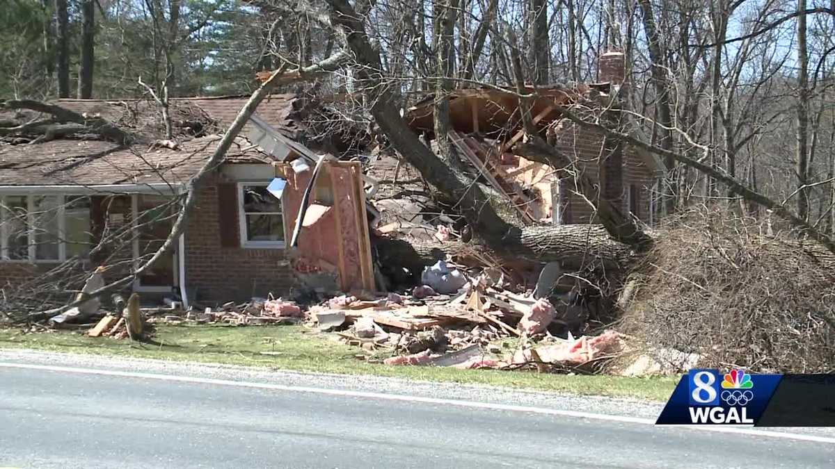 Pa. man killed by tree checked on his parents minutes before he died