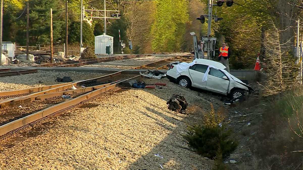 Driver fatally struck by train went around railroad gate, police say