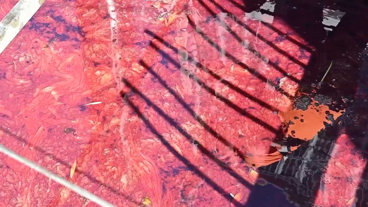 Crews collect diesel from spill in Inner Harbor