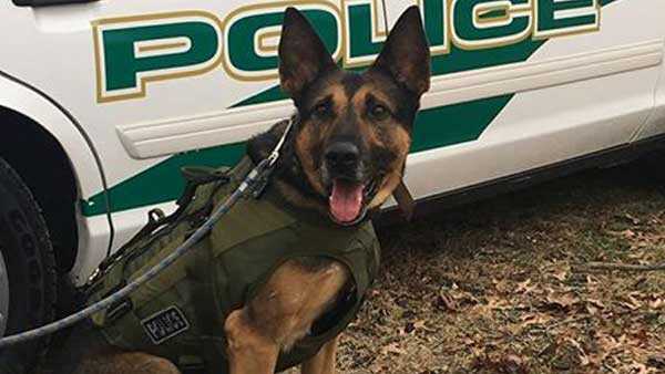 Memorial service held for police K-9 that died in the line of duty