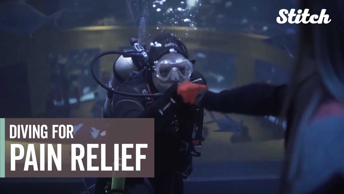 'Everything just washes out': Therapeutic scuba diving helps those with ...