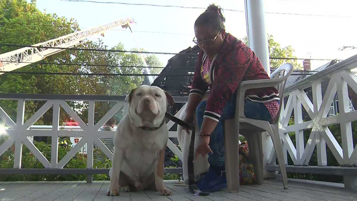 Barking dog alerts homeowner to massive Brockton fire