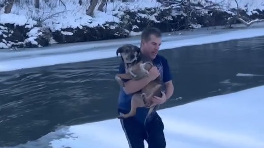 Viral video shows Vermont man rescuing dog from icy river in Barre