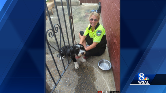 Dog freed after getting stuck in gate in Lancaster County, Pa.