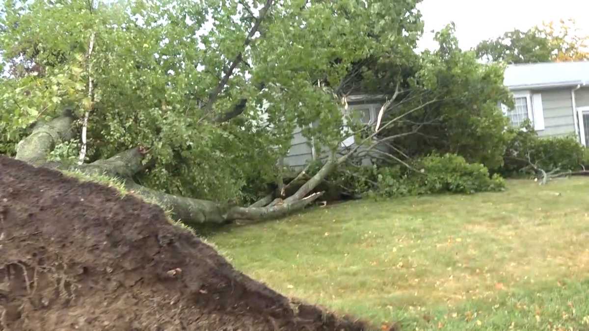 Cleanup underway across Mass. after storms down trees, power lines