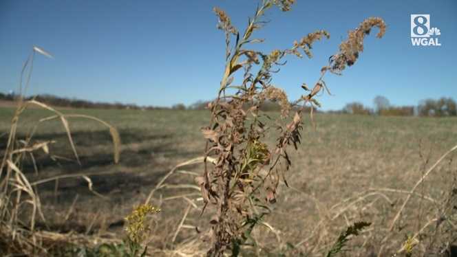 Dry conditions, low humidity, strong winds prompt Red Flag Warning