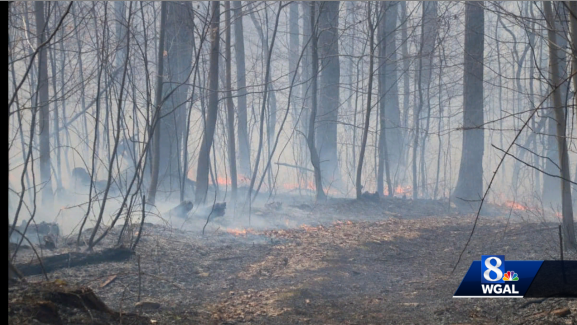 Natural causes ruled out in Lancaster County woods fire