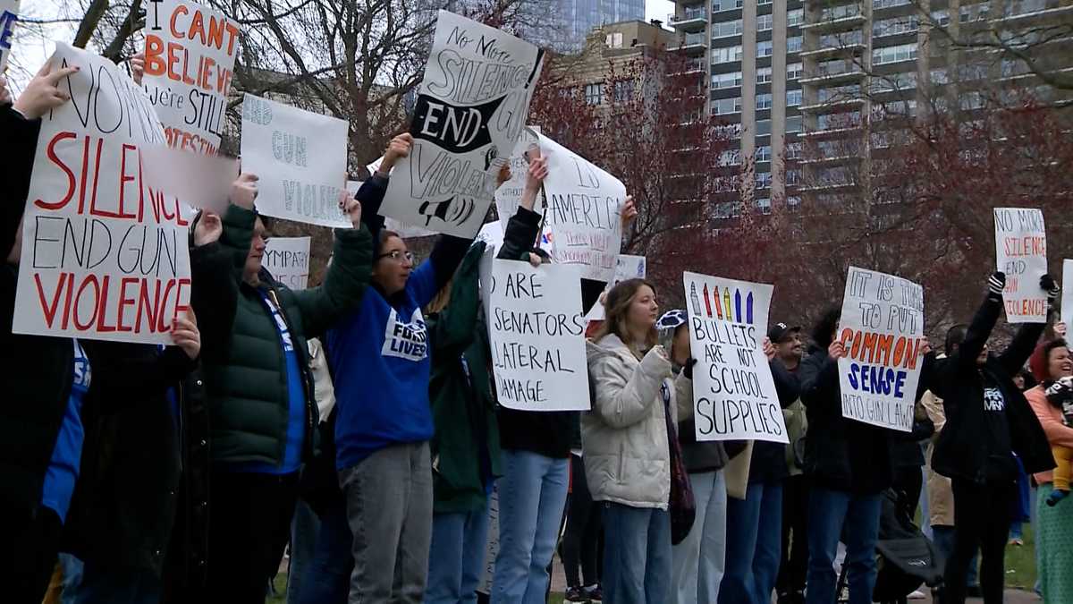 Emerson students rally on Boston Common, call for stricter gun laws