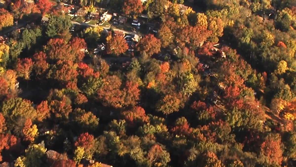 Where to see Pennsylvania's fall foliage