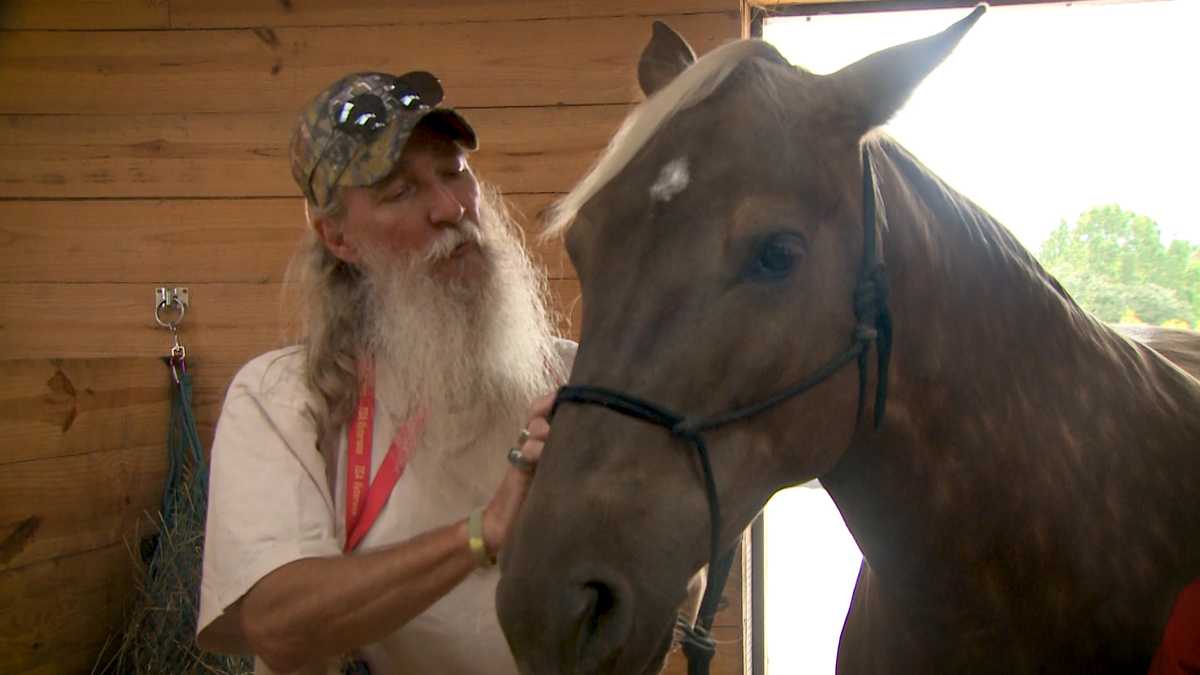 Veteran-run businesses that help fellow vets cope with life after war