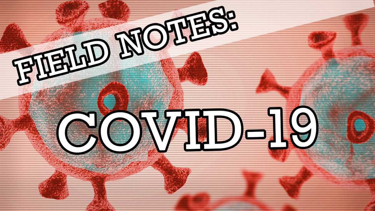 Coronavirus: How COVID-19 is affecting communities around the US